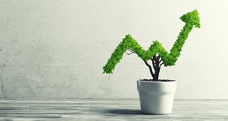 LK Insurance Services - About LK - History